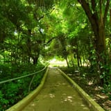El Dorado Park Nature Trail, California - 1,429 Reviews, Map | AllTrails