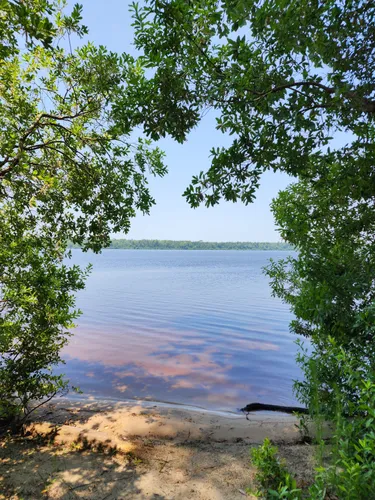 Best Hikes and Trails in Jones Lake State Park | AllTrails