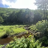 Nebraska Notch via Lake Mansfield Trail, Vermont - 633 Reviews, Map ...