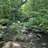 Nebraska Notch via Lake Mansfield Trail, Vermont - 633 Reviews, Map ...