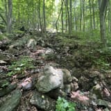 Nebraska Notch via Lake Mansfield Trail, Vermont - 633 Reviews, Map ...