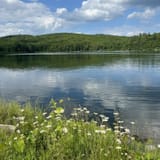 Boston Lot Lake, New Hampshire - 685 Reviews, Map | AllTrails