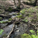 Boston Lot Lake, New Hampshire - 685 Reviews, Map | AllTrails