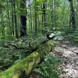 Boston Lot Lake, New Hampshire - 685 Reviews, Map | AllTrails