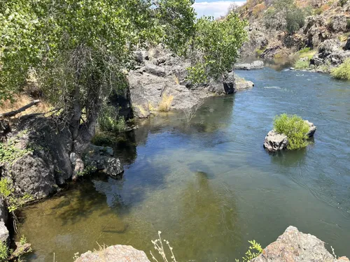 Best Hikes and Trails in Knights Ferry Recreation Area | AllTrails