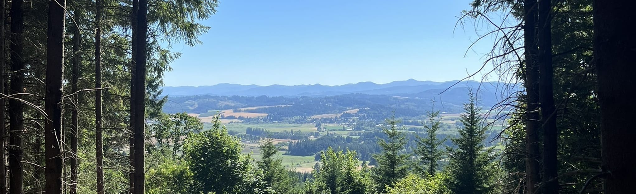 Timber Road, Chehalem Ridge, and Madrona Trail, Oregon - 195 Reviews ...