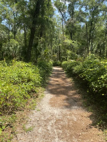 Best Hikes and Trails in Rainbow Springs State Park | AllTrails