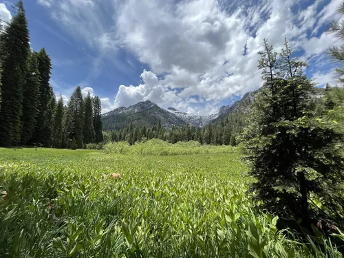 Best Waterfall Trails in Trinity Center | AllTrails