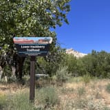 Lower Hackberry Canyon Trail, Utah - 225 Reviews, Map | AllTrails