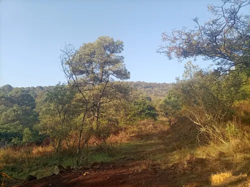 10 Best Forest Trails in Zona de Protección Ambiental Pico Azul - La ...