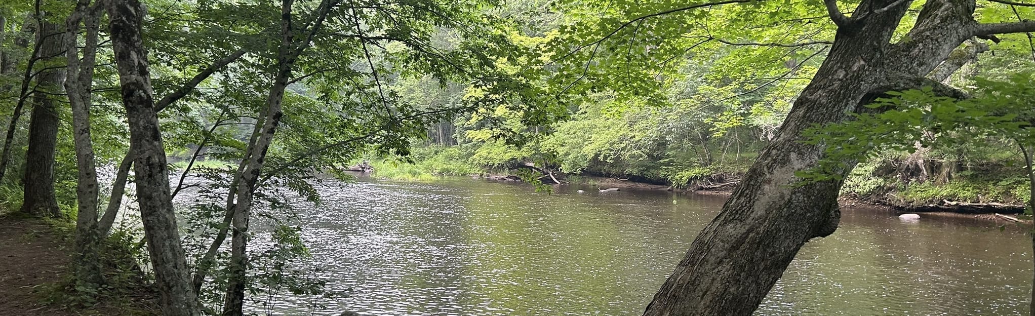 Becker Conservation Trail, Connecticut - 32 Reviews, Map | AllTrails