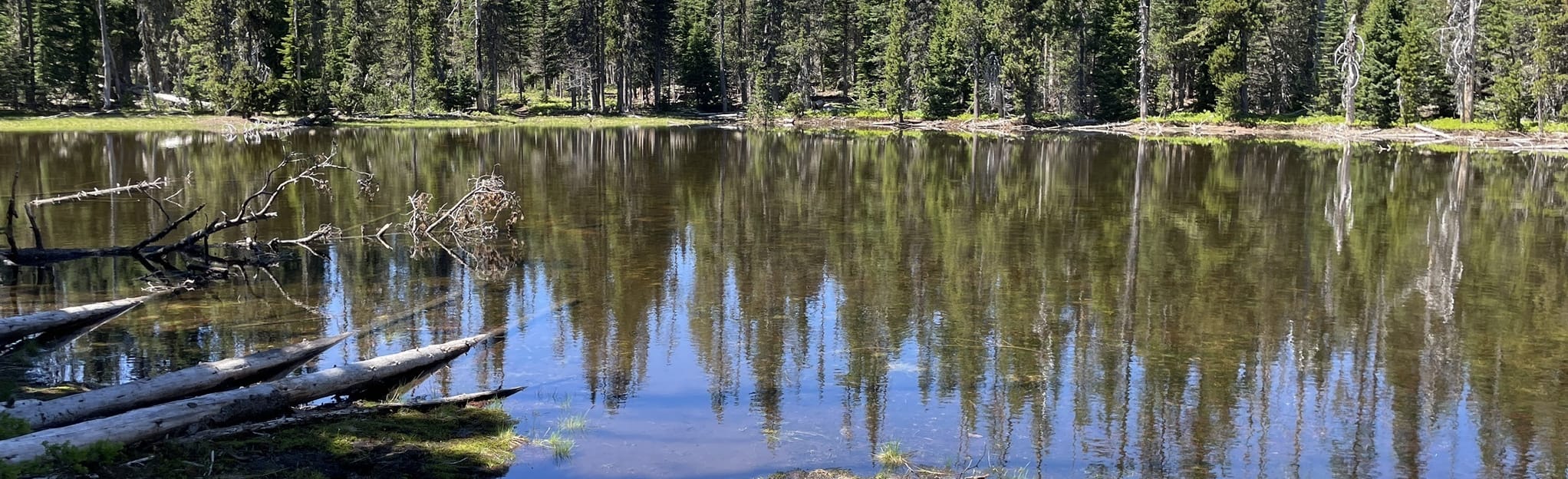 Hand Lake via Scott Lake, Oregon - 18 Reviews, Map | AllTrails