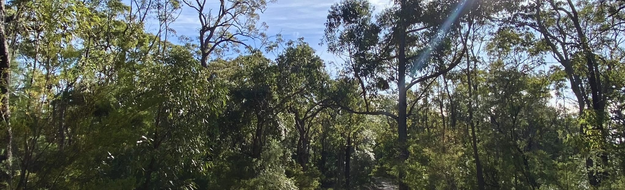 Grose River Explorer: 6 Reviews, Map - New South Wales, Australia ...