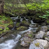 Carter Lake Trail, Alaska - 333 Reviews, Map | AllTrails