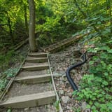 Whirlpool Trail, Ontario, Canada - 616 Reviews, Map | AllTrails