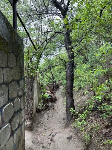 Best Hikes and Trails in Baner-Pashan Biodiversity Park | AllTrails