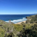 Palm Jungle Loop Track, New South Wales, Australia - 339 Reviews, Map ...
