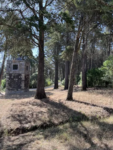 2023 Best 10 Dog Friendly Trails in Monsanto Forest Park | AllTrails