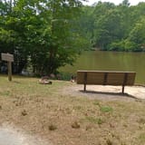 Deep Run Park Trails, Virginia - 1,257 Reviews, Map | AllTrails