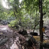 Kledang Hill Loop, Perak, Malaysia - 179 Reviews, Map | AllTrails