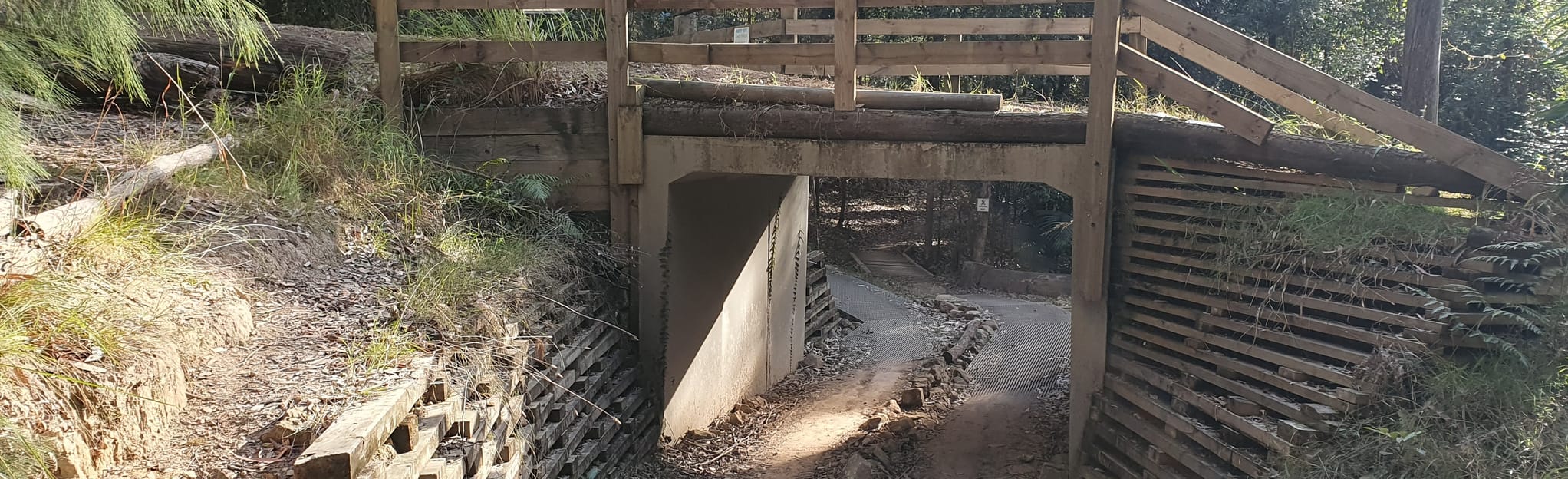 AllTrails | Awaba Single Track: 44 Reviews, Map - New South Wales ...