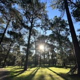 Gnangara Pines, Western Australia, Australia - 76 Reviews, Map | AllTrails