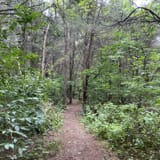Elk Run, Virginia - 354 Reviews, Map | AllTrails