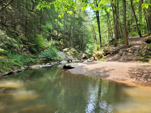 10 Best Hikes and Trails in Prettyboy Reservoir Park | AllTrails
