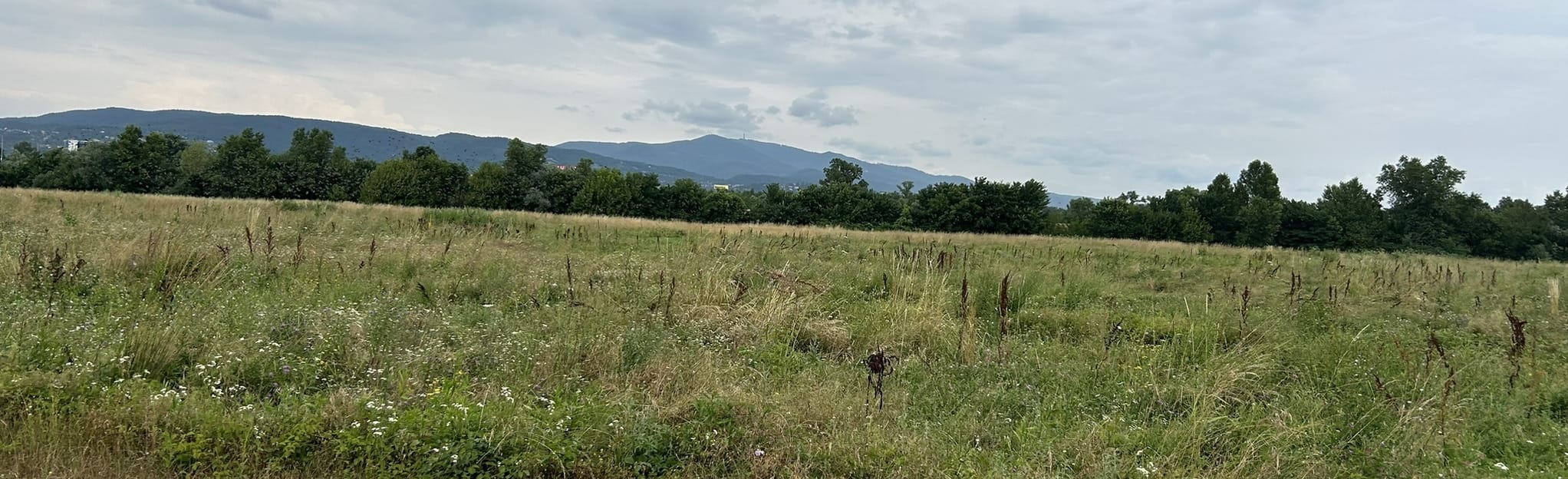 Jankomirski Most - Sava-Odra-Kanal - Jadranski Most, 48 Fotos ...