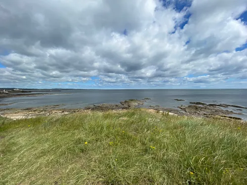 Best Trails, Walks, and Paths in Amble | AllTrails