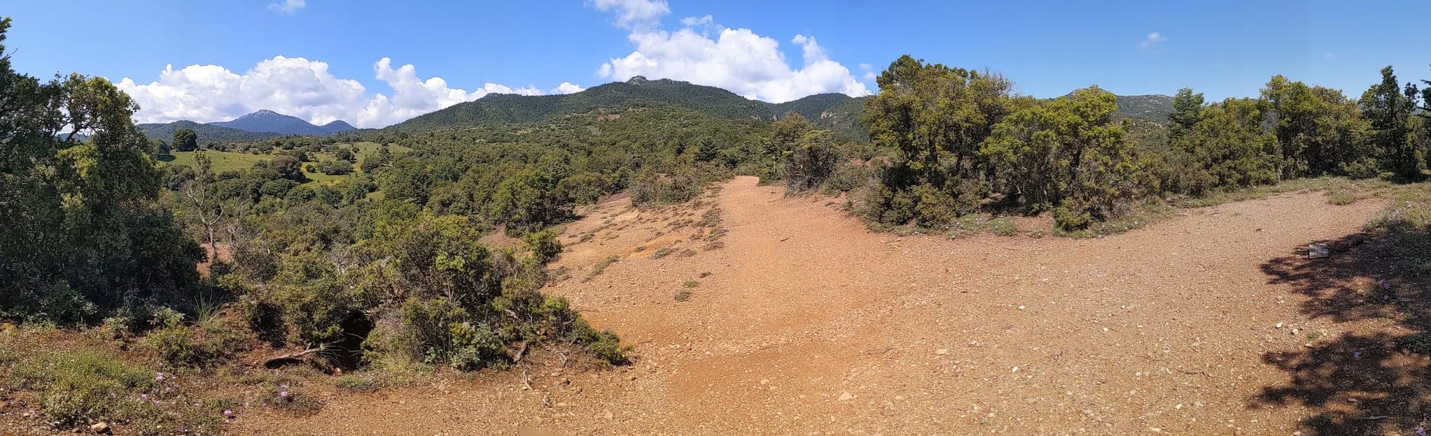 Menalon Trail Segment 6: Nymphasia - Magouliana, Peloponnese, Greece ...