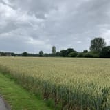 Peover Eye Circular, Cheshire, England - 91 Reviews, Map | AllTrails