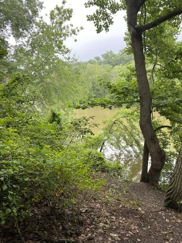 Best Hikes and Trails in Mariner Point Park | AllTrails