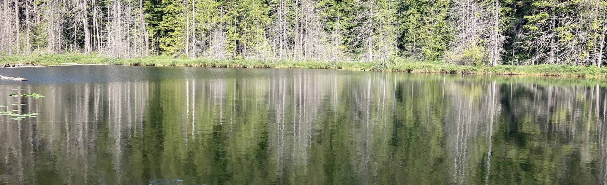 Whyte Lake via Baden Powell Trail: 530 foto's - Brits-Columbia, Canada ...