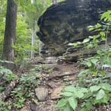 West and East Pinnacle, Kentucky - 1,146 Reviews, Map | AllTrails