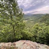West and East Pinnacle, Kentucky - 1,106 Reviews, Map | AllTrails