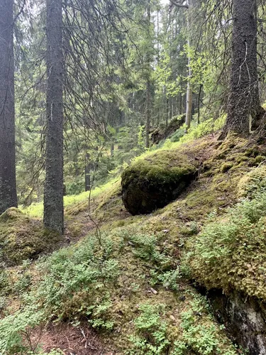 Best Hikes and Trails in Kindla Naturreservat | AllTrails