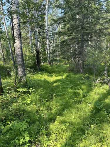 Best Hikes and Trails in Pierceland | AllTrails