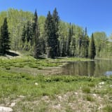 Soapstone Basin OHV Trail, Utah - 101 Reviews, Map | AllTrails