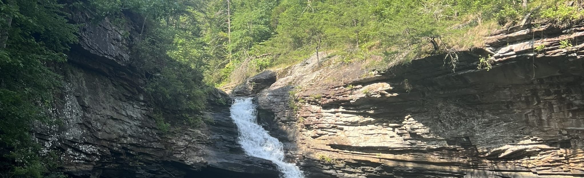 Lula Lake to Lula Falls: 62 Reviews, Map - Georgia | AllTrails