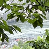 Gold Mine Loop Trail, Maryland - 1,000 Reviews, Map | AllTrails