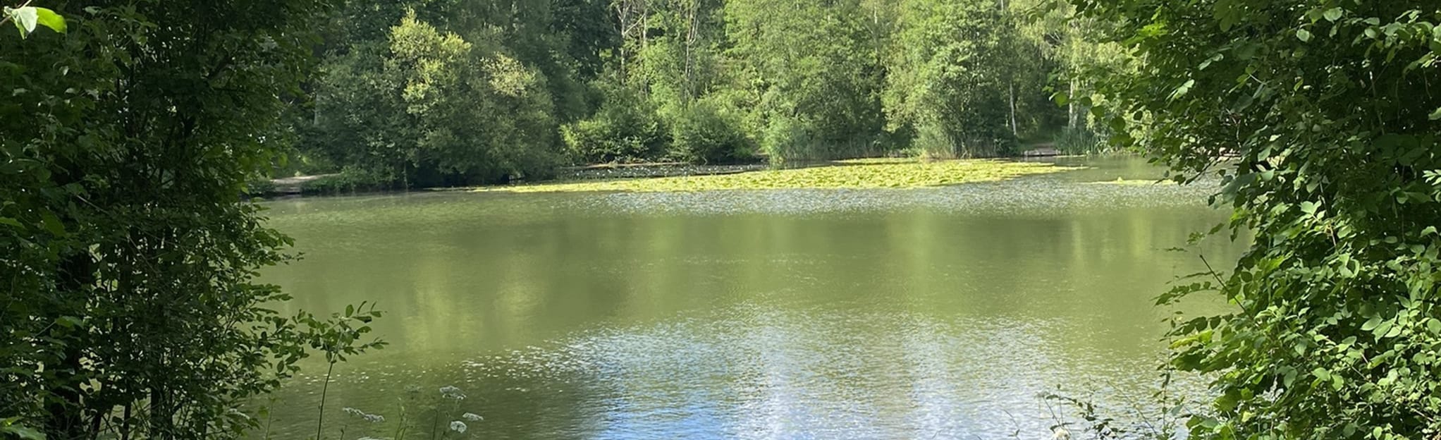 Swanwick Nature Reserve Circular, Hampshire, England - 53 Reviews, Map ...