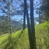 Sunshine Canyon Trail, Colorado - 658 Reviews, Map | AllTrails