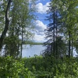 Talkeetna Lake Trail, Alaska - 604 Reviews, Map | AllTrails