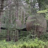 Dow Gardens Canopy Walk, Michigan - 138 Reviews, Map | AllTrails