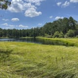 Three Lakes Loop, Florida - 265 Reviews, Map | AllTrails