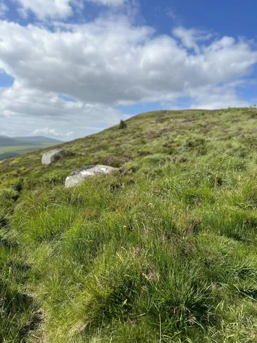 2023 Best River Trails in Togher | AllTrails