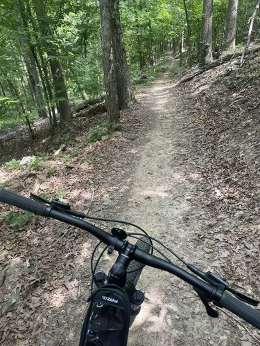 Best Hikes and Trails in Lake Alma Wildlife Observation Trail and Park ...