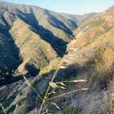Skyline Drive to Beek's Place, California - 2,039 Reviews, Map | AllTrails