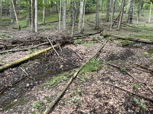 2023 Best Easy Trails in Lime Hollow Nature Center | AllTrails